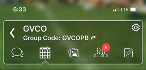 Great Valley Pickleball News