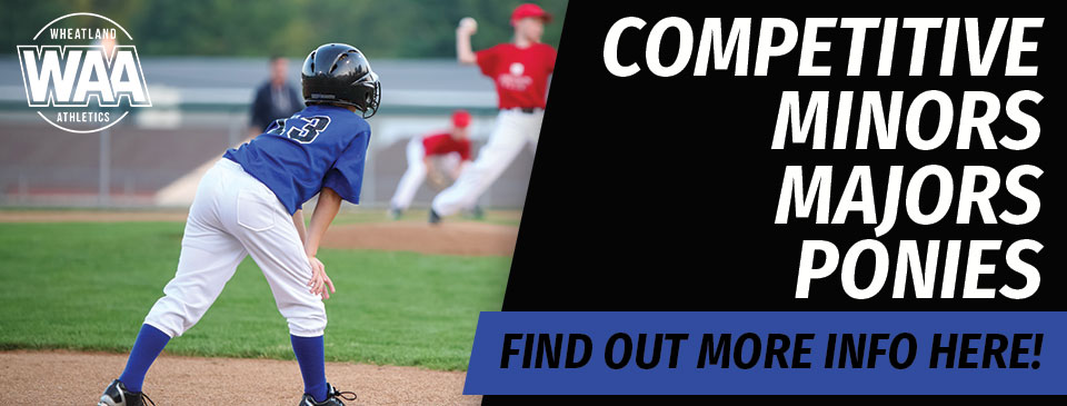 Minors Baseball (Age 9-10)