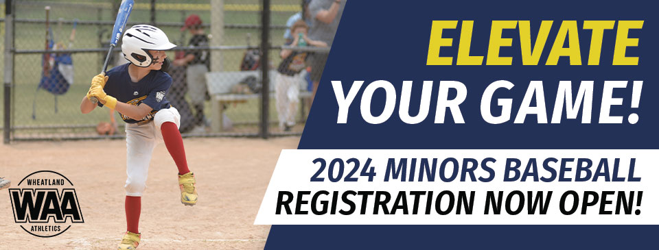 Minors Baseball (Age 9-10)