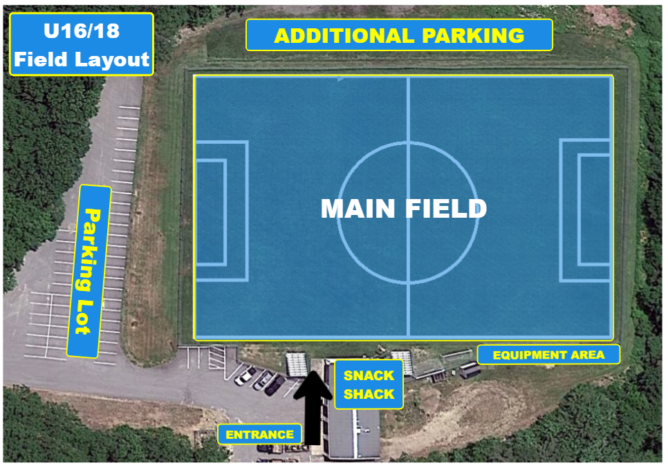 Field Layouts